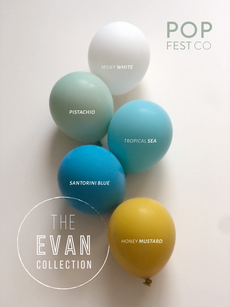 Evan Balloon Arch Kit – PopFestCo